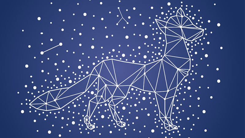 Fox Constellation for Dungeons & Dragons Fifth Edition – DMDave Publishing