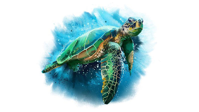 Sea Turtles for Dungeons & Dragons Fifth Edition – DMDave Publishing