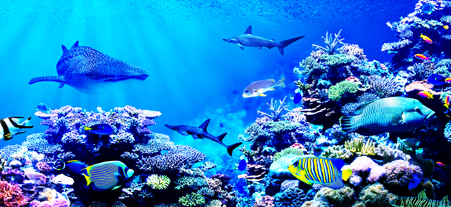 Thumbnail-DM-DAVE – DMDave Publishing