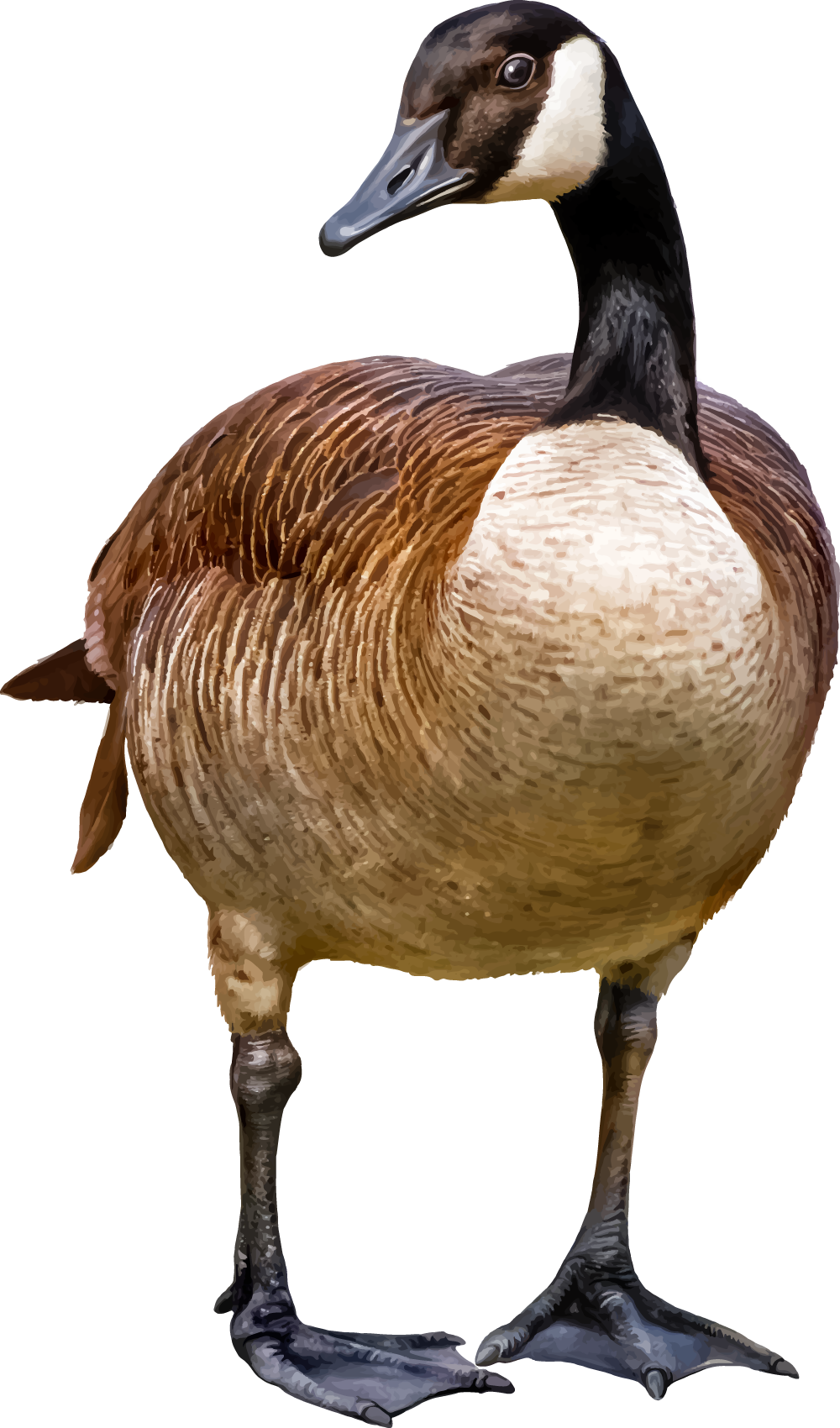 goose – DMDave Publishing