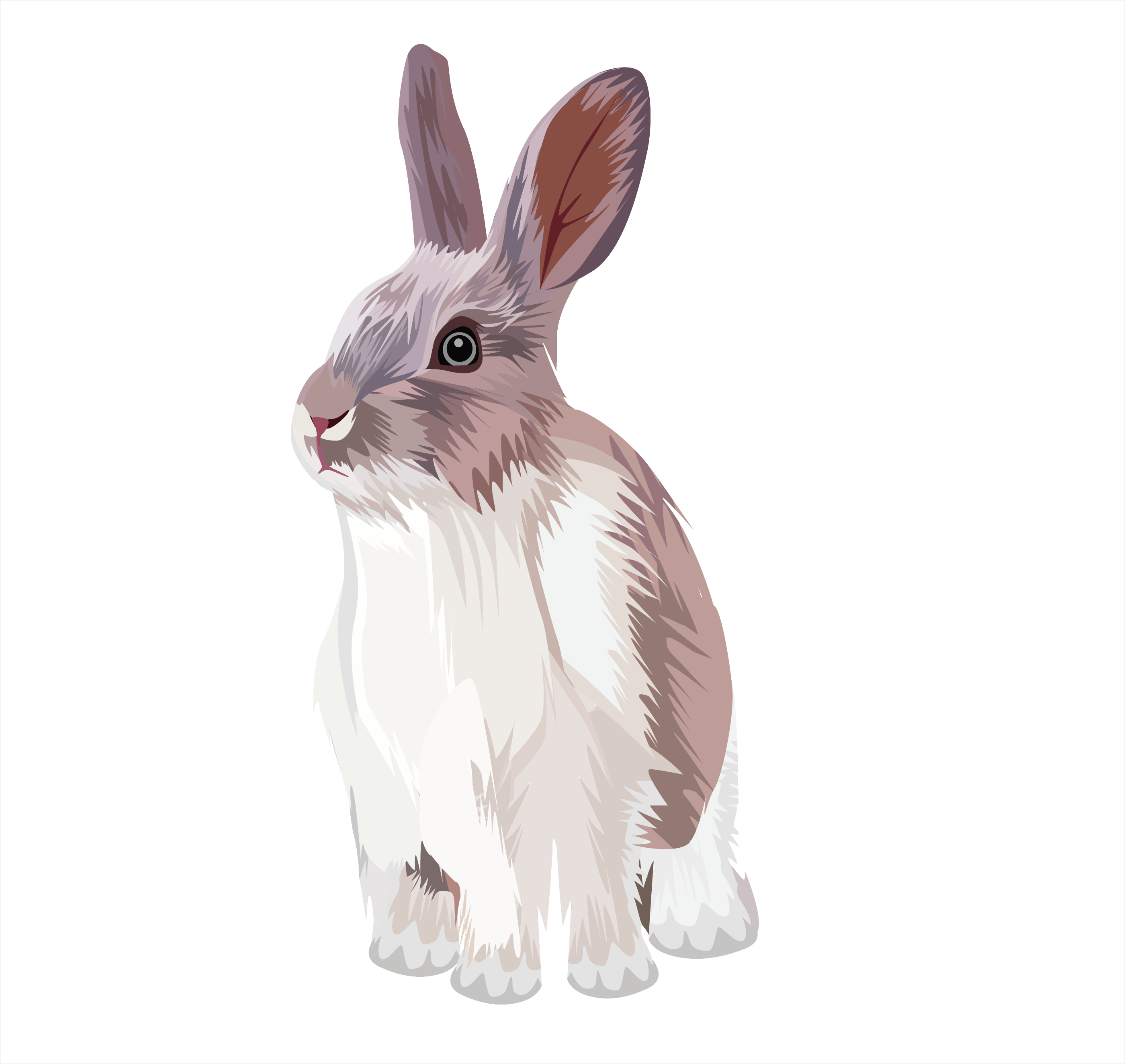 killer-rabbit – DMDave Publishing